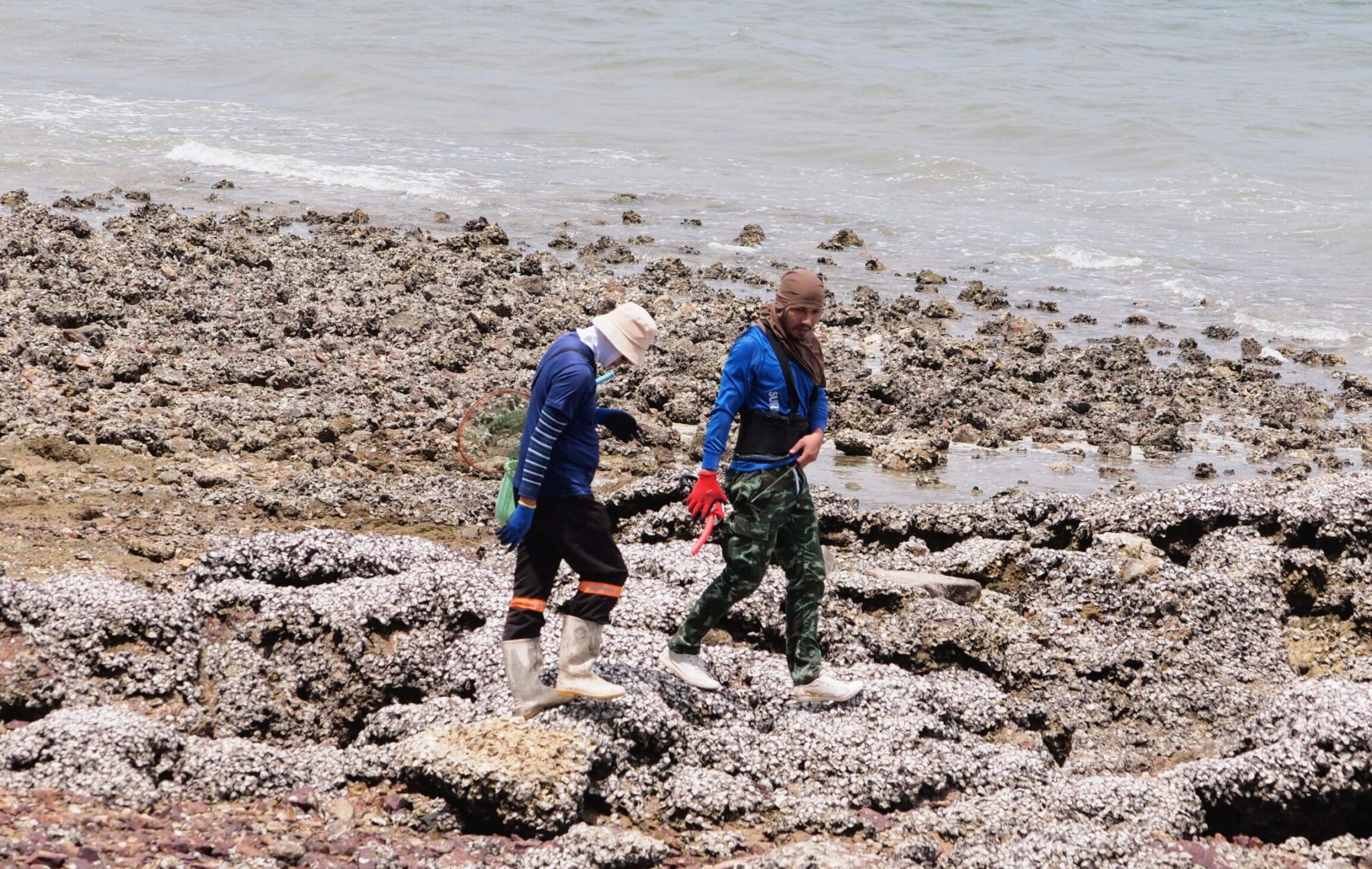 【今日は、仕事を兼ねて海を見に行きました】ランチはイカ三昧でした！ - JoySeniorLife